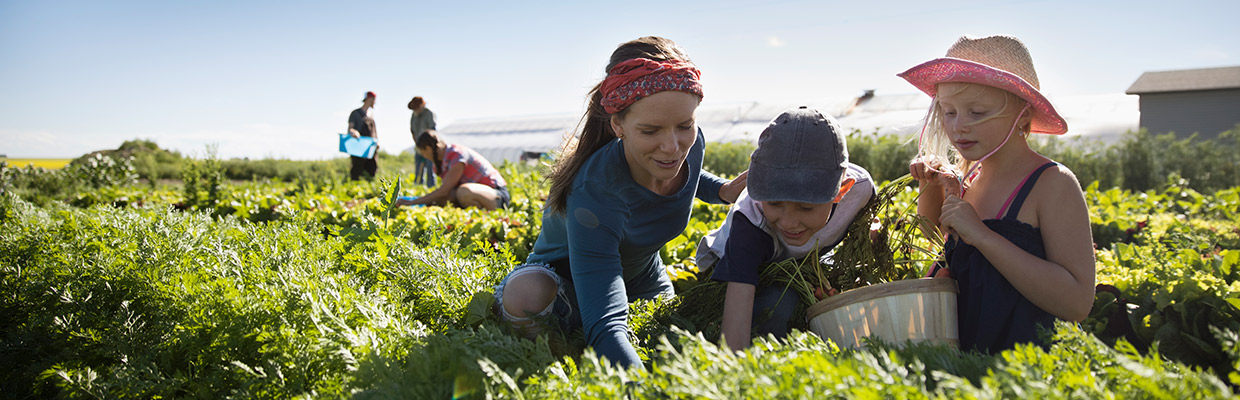 Financial Planning | Wealth & Investments - HSBC BM